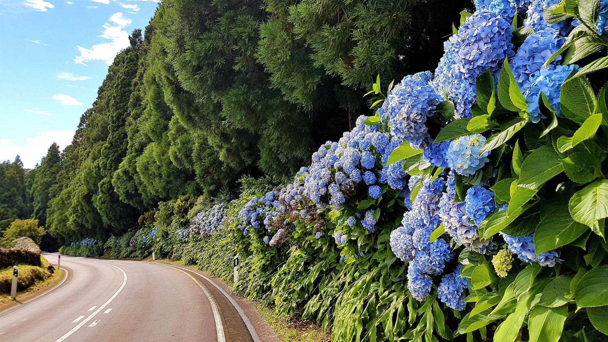 Azori, zeleni raj sredi Atlantika – Potepanja