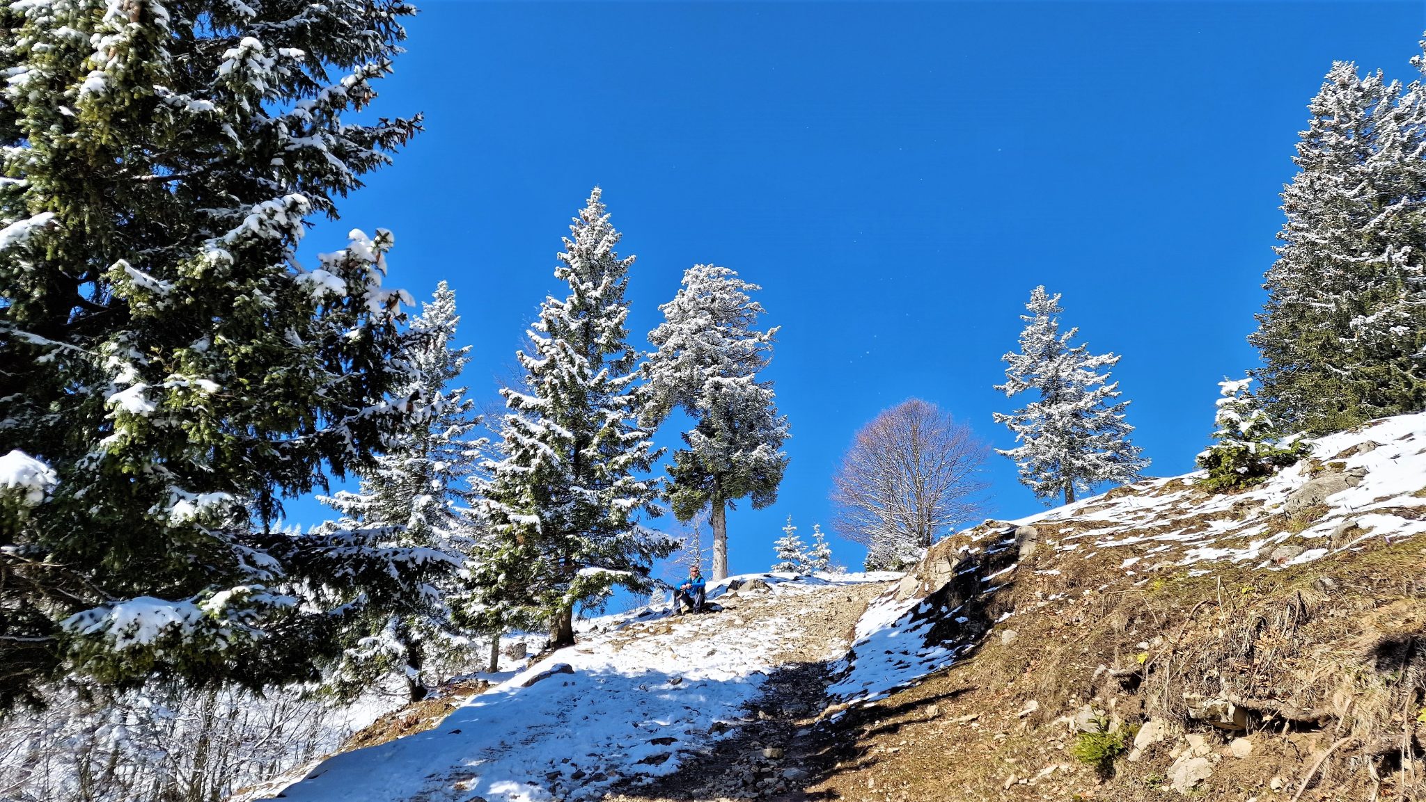 Med zimo in pomladjo, Velika Planina – Potepanja