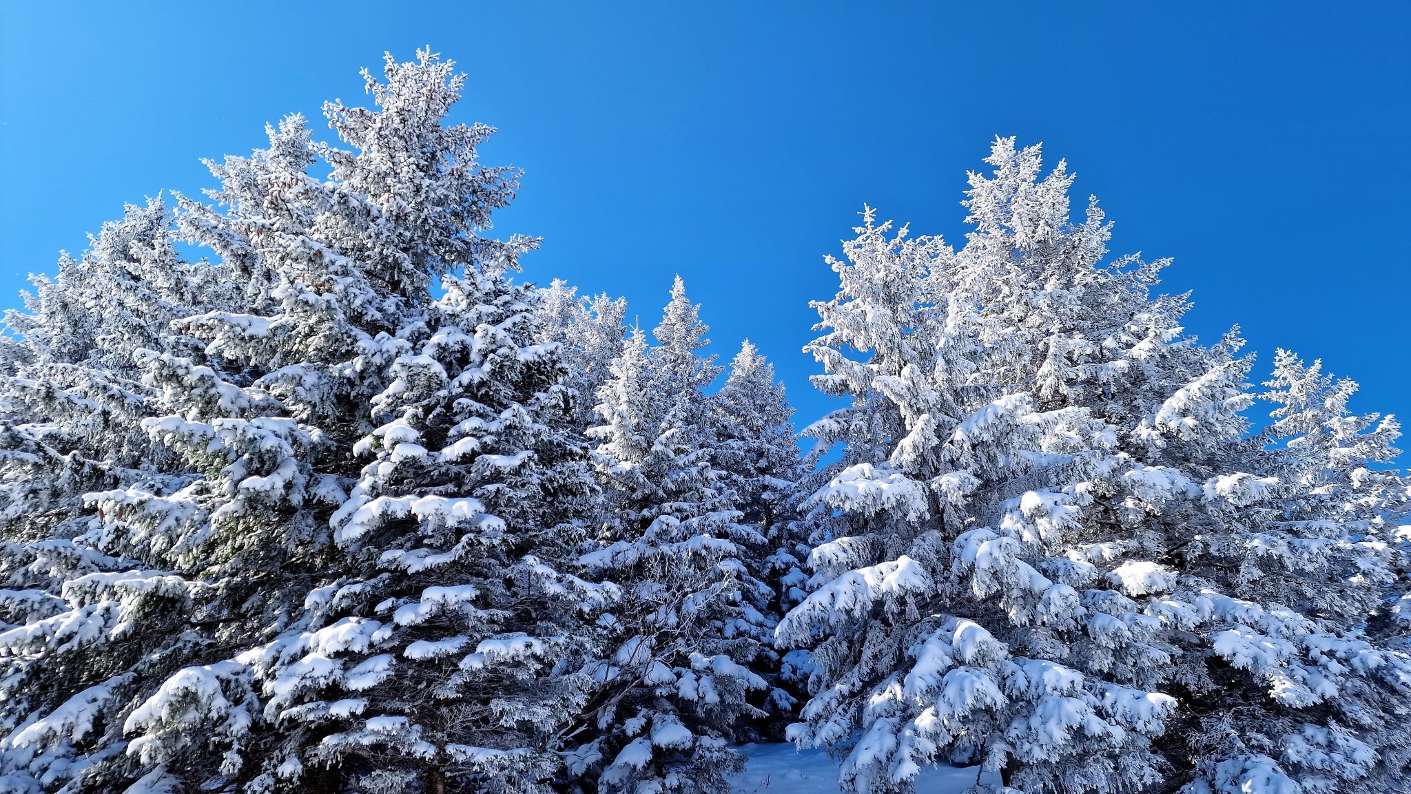 Med zimo in pomladjo, Velika Planina – Potepanja