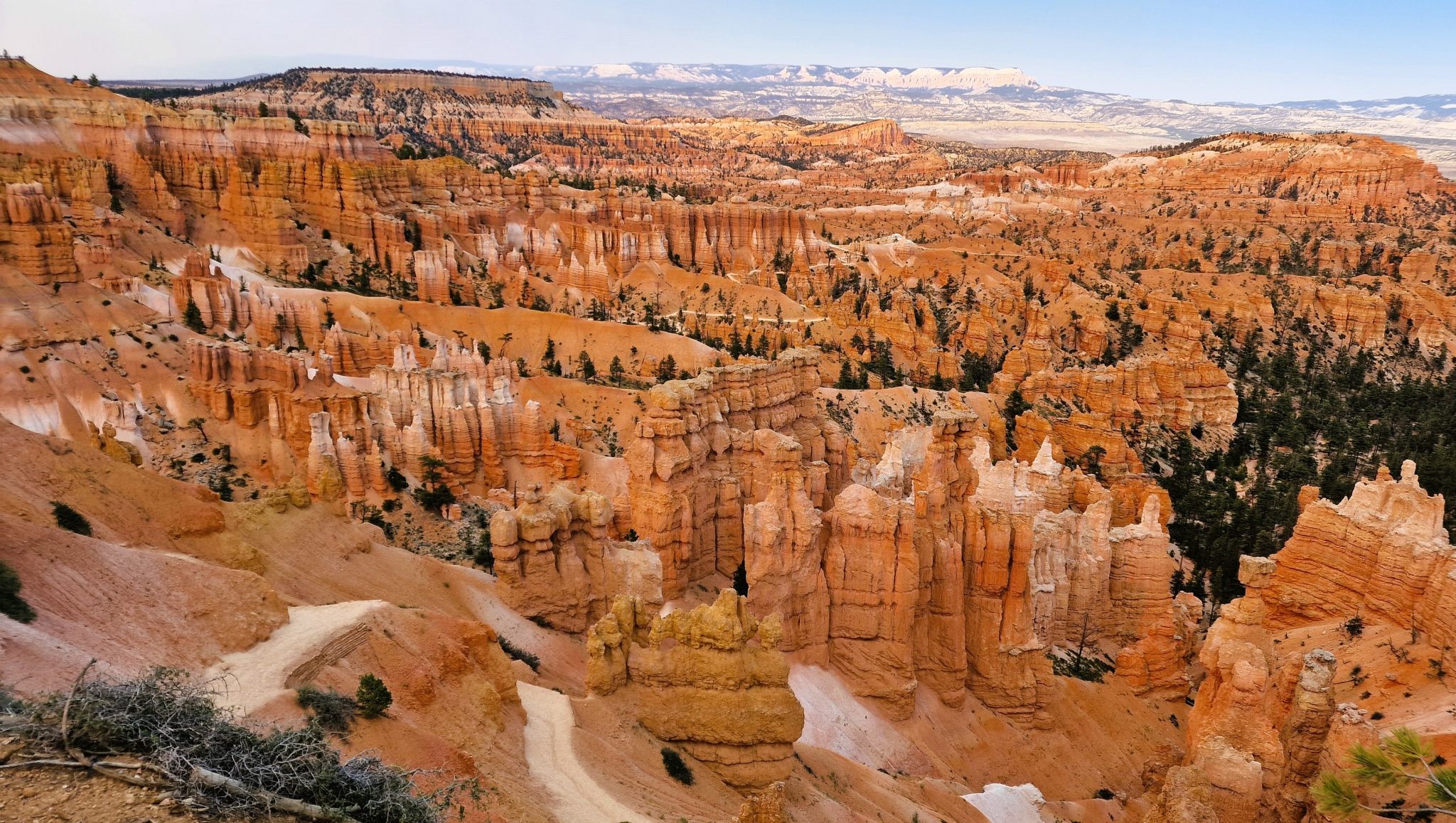 America the Beautiful – Potepanja