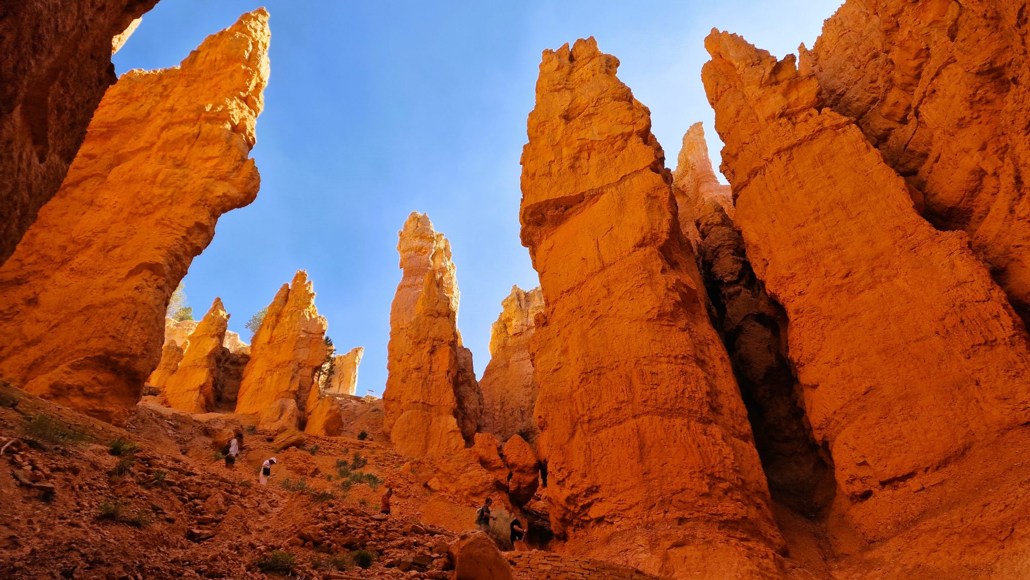 America the Beautiful – Potepanja